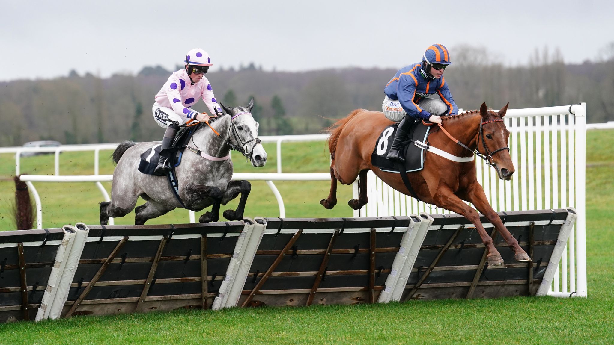 Challow Novices' Hurdle: Captain Teague toughs it out to give Paul ...