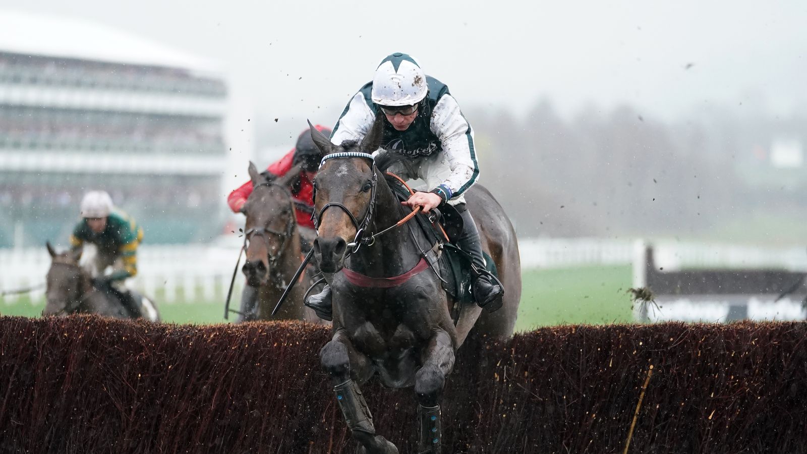 Venetia Williams yard full of confidence with Plumpton and Lingfield ...