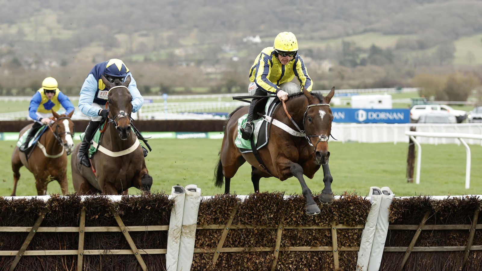 New Year's Day Handicap Chase: Harry Redknapp celebrates as Ben Jones ...