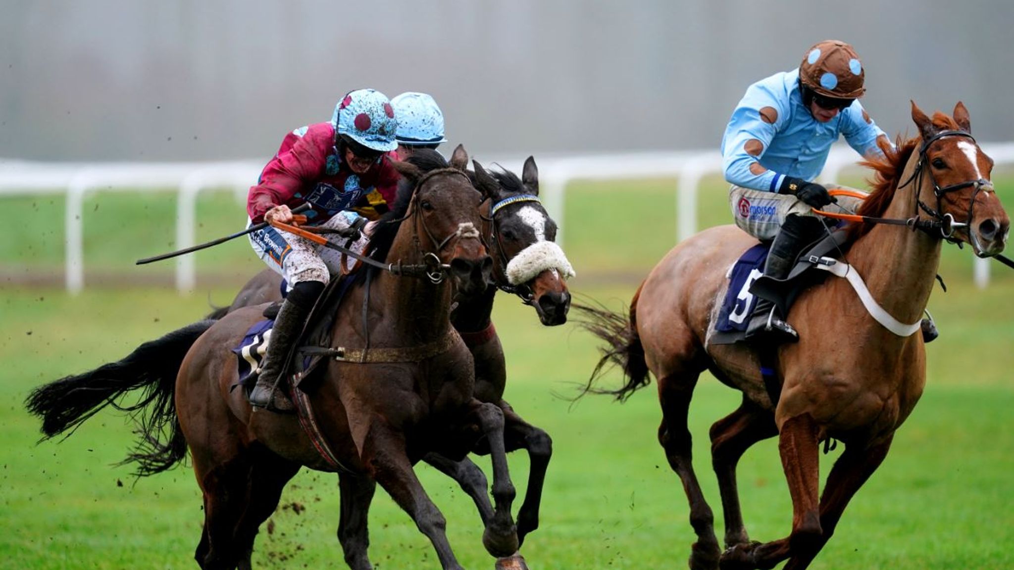 Newbury live on Sky Sports Racing: Gaye Legacy gets up late to win in ...