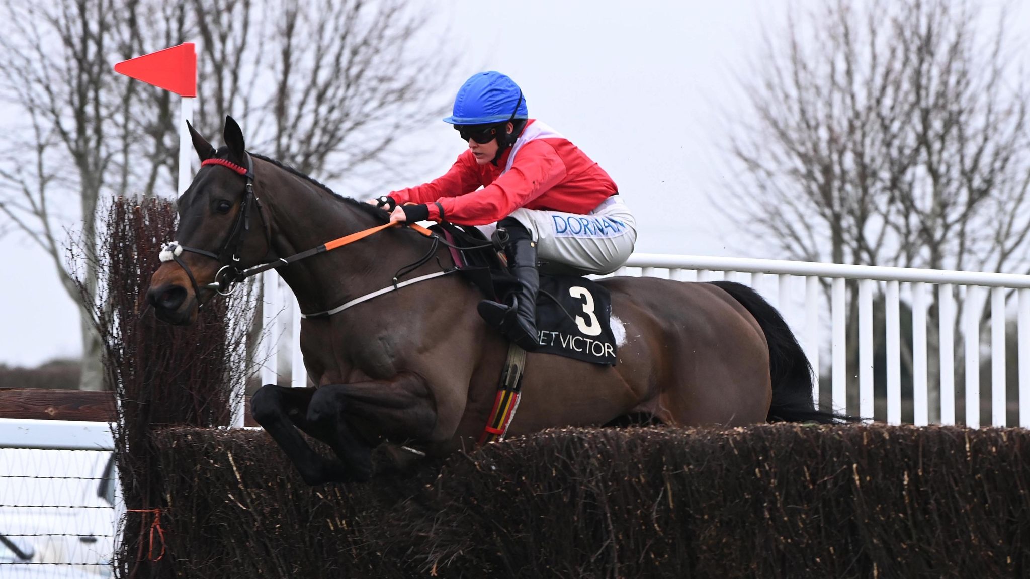 Lawlor's Of Naas Novice Hurdle: Readin Tommy Wrong hits right note in ...