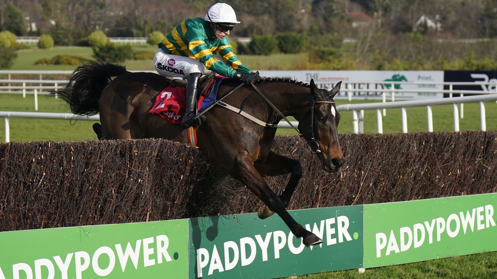Labrokes Novice Chase: Fact To File beats disappointing Gaelic Warrior ...
