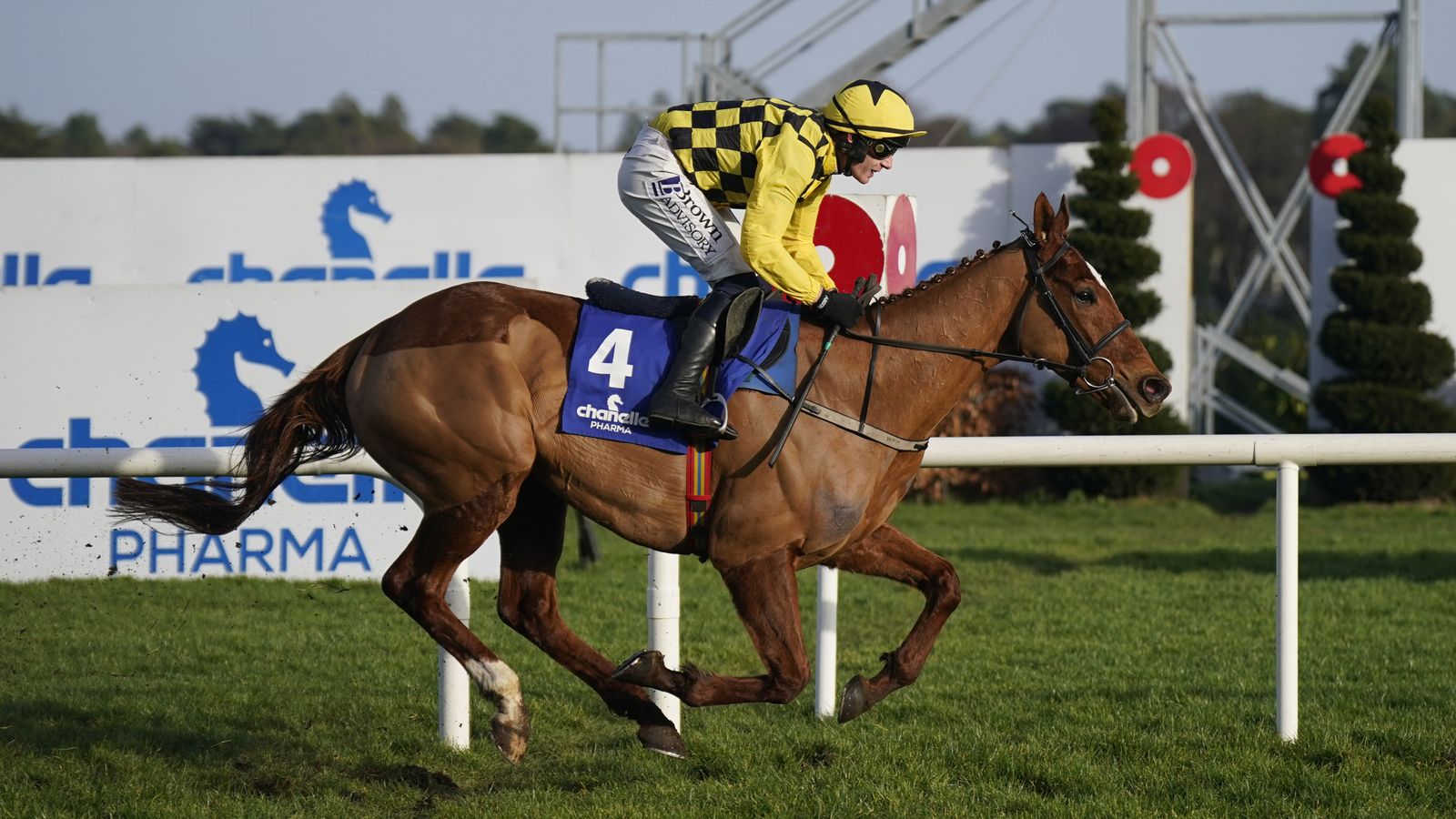 Off The Fence: Cheltenham Festival review with a treble for 2025 and ...