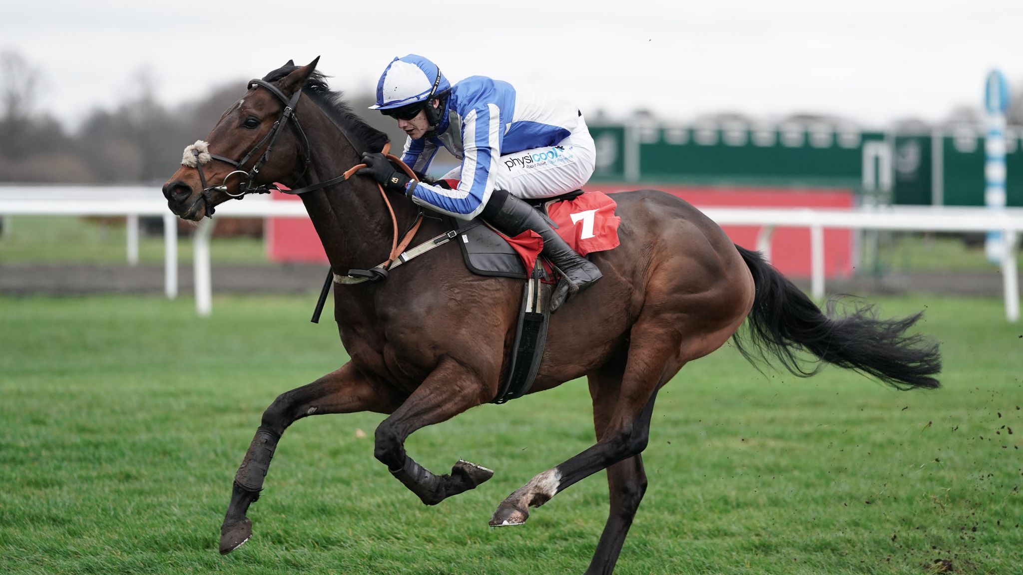 Betfair Hurdle: Jamie Lynch with the lowdown on every runner in Newbury ...