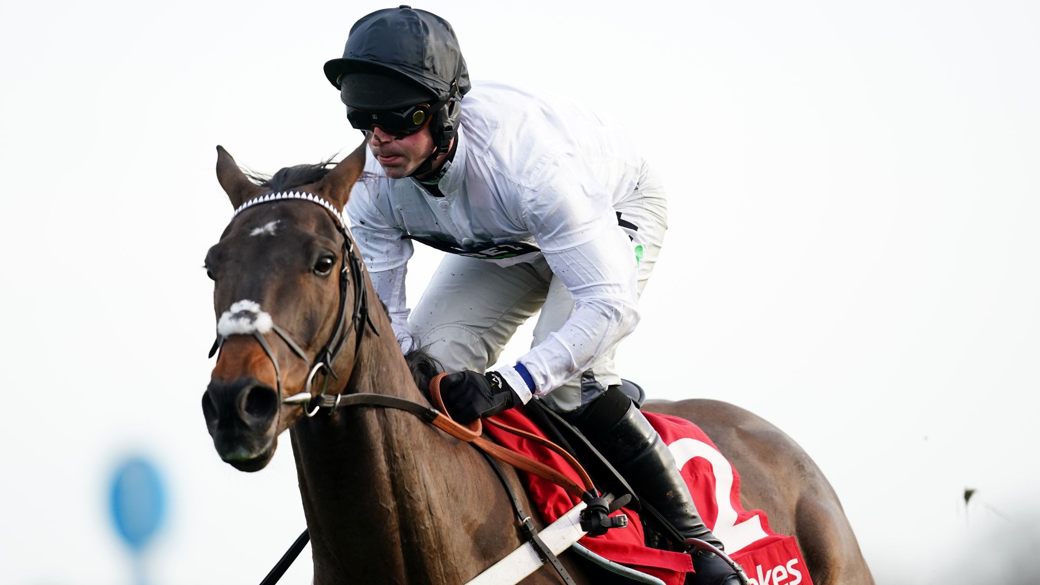 Constitution Hill: Punchestown Festival 'very much on the agenda' as ...
