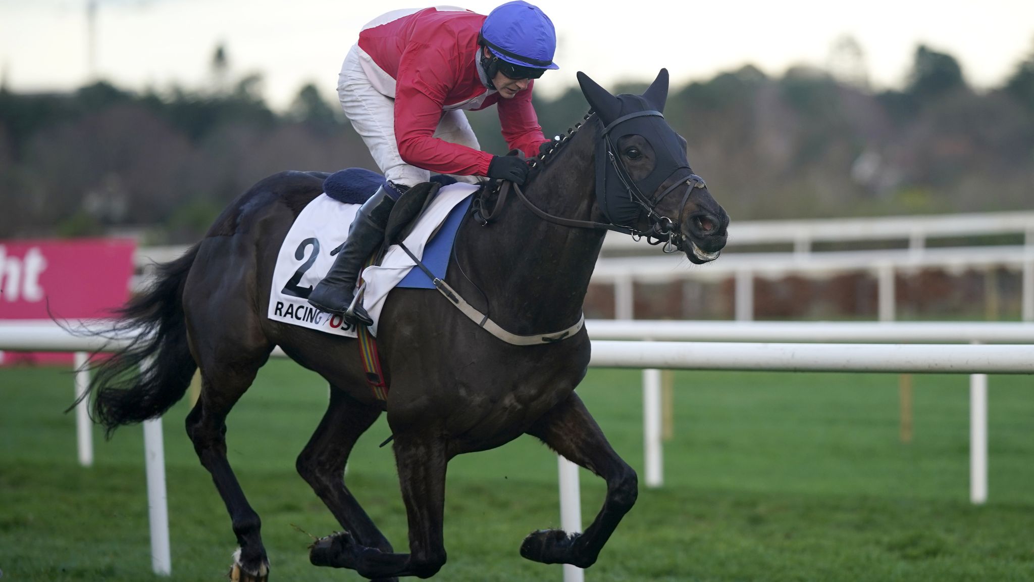 Newlands Chase: Ferny Hollow returns with Naas success but could ...