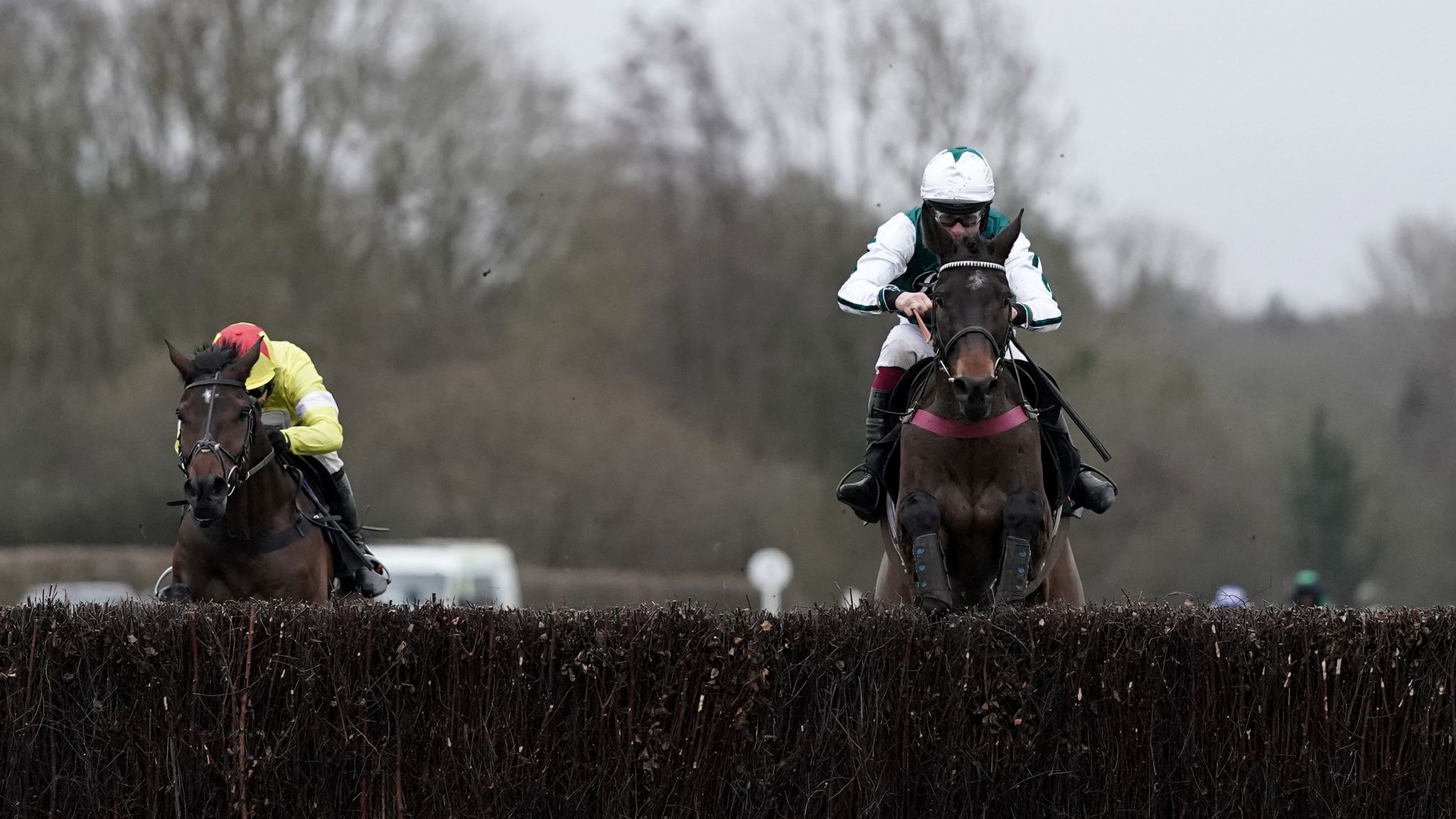 Andy Edwards' Cheltenham Gold Cup hopes alive as L'Homme Presse ...