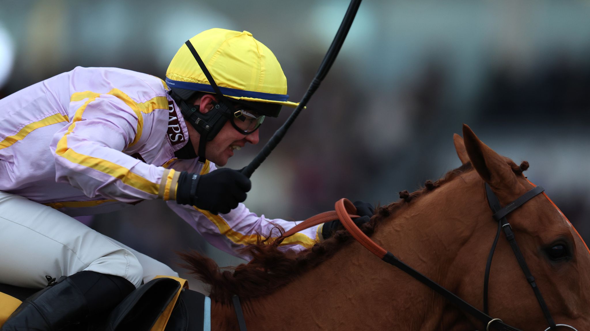 Betfair Hurdle: Jamie Lynch with the lowdown on every runner in Newbury ...