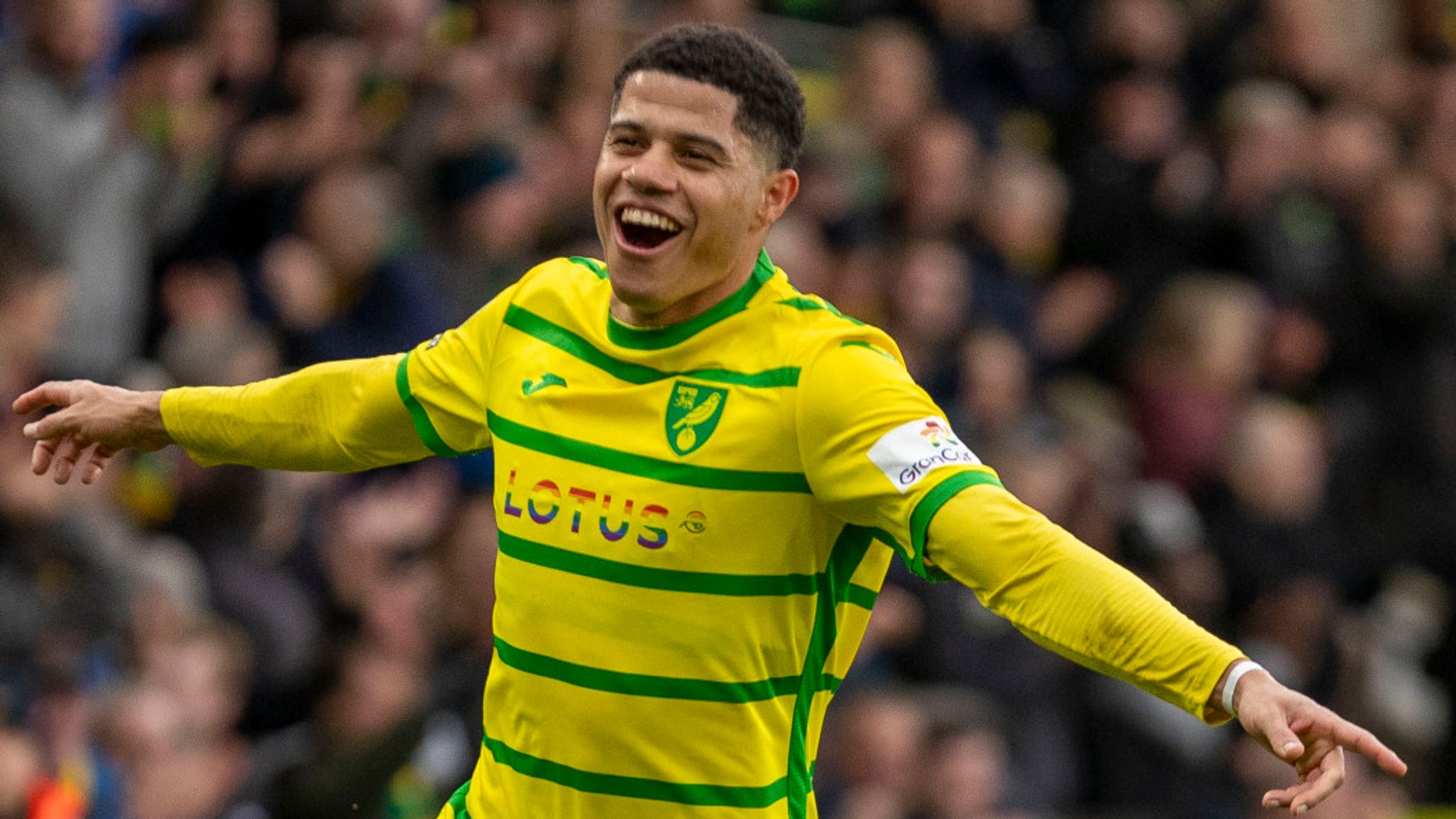 Norwich 4 - 1 Cardiff - Match Report & Highlights