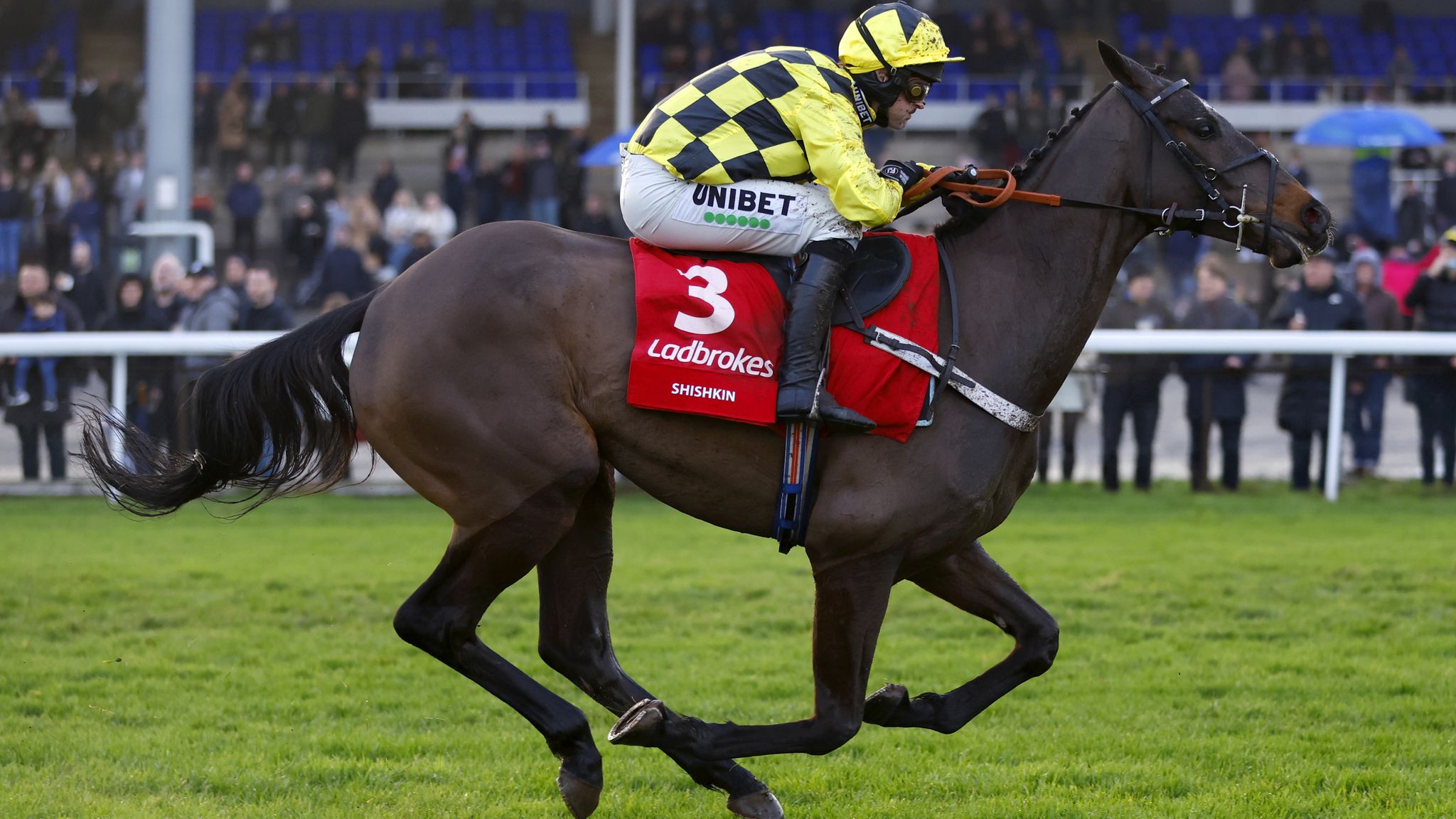 Super Saturday: Shishkin ready to take on Protektorat in Denman Chase ...