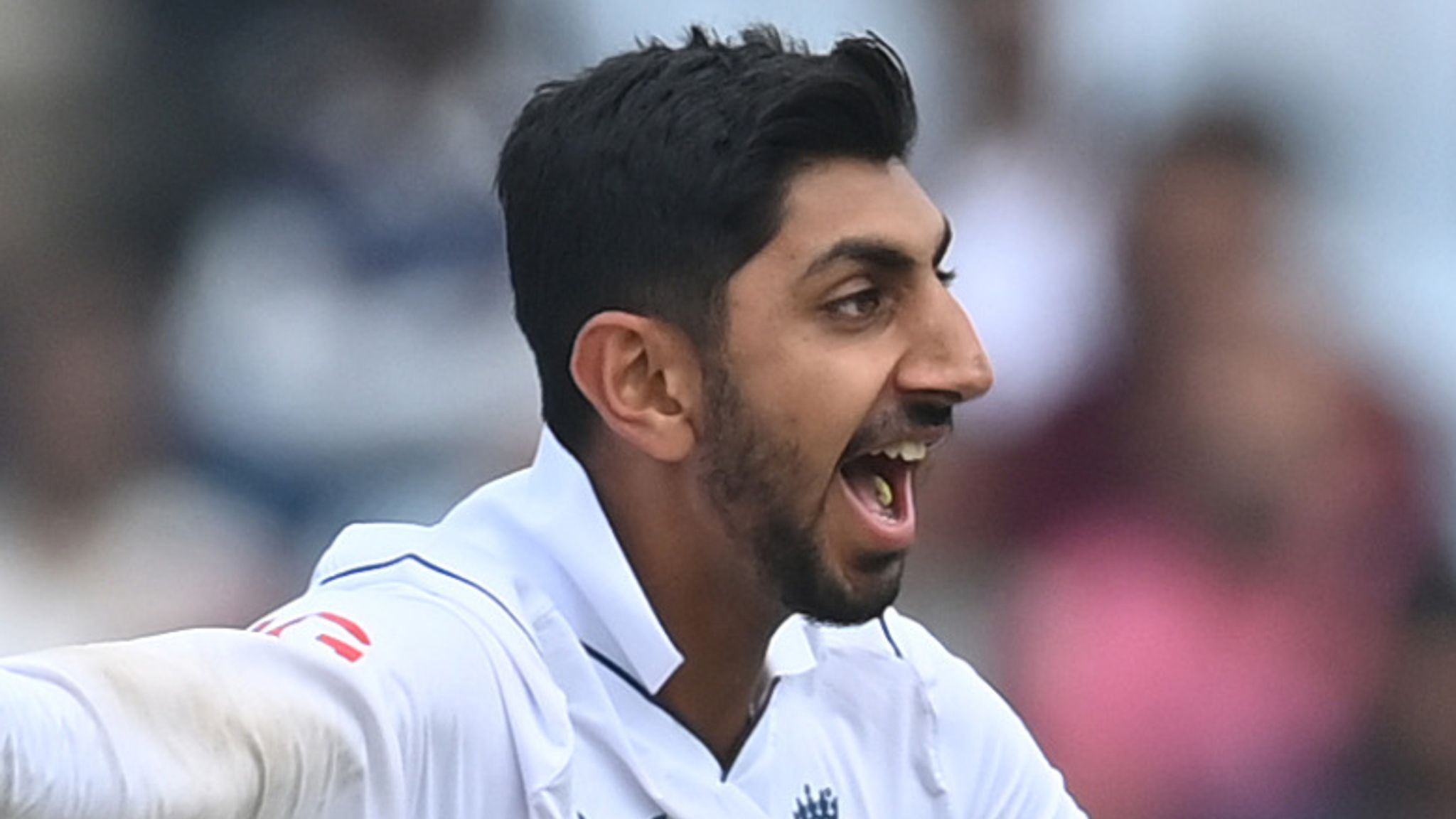 Shoaib Bashir: Somerset open to loan move for England star off-spinner | Cricket News | Sky Sports