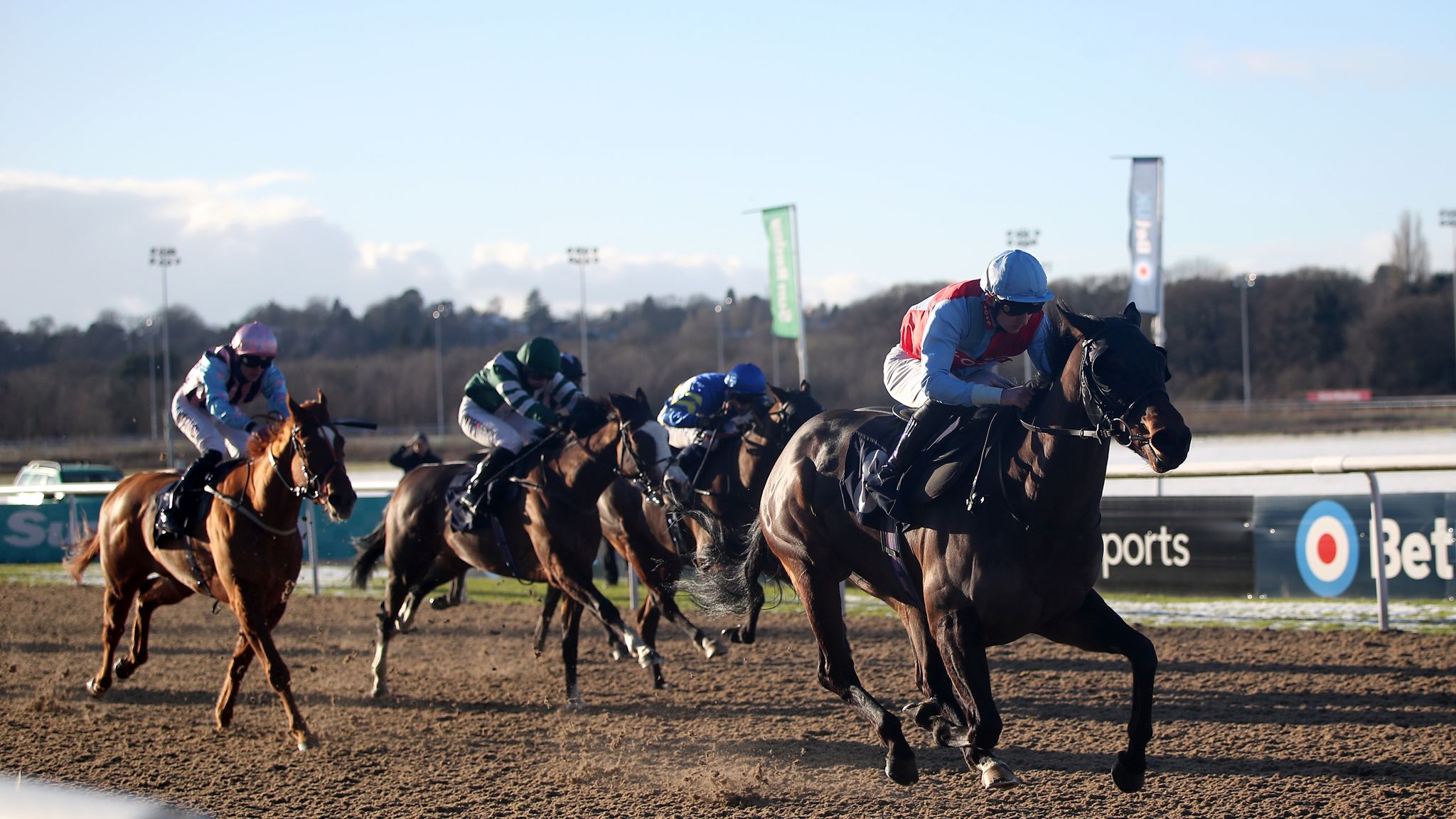 Today on Sky Sports Racing: Crimson Coronet eyes Maiden Fillies' Stakes ...