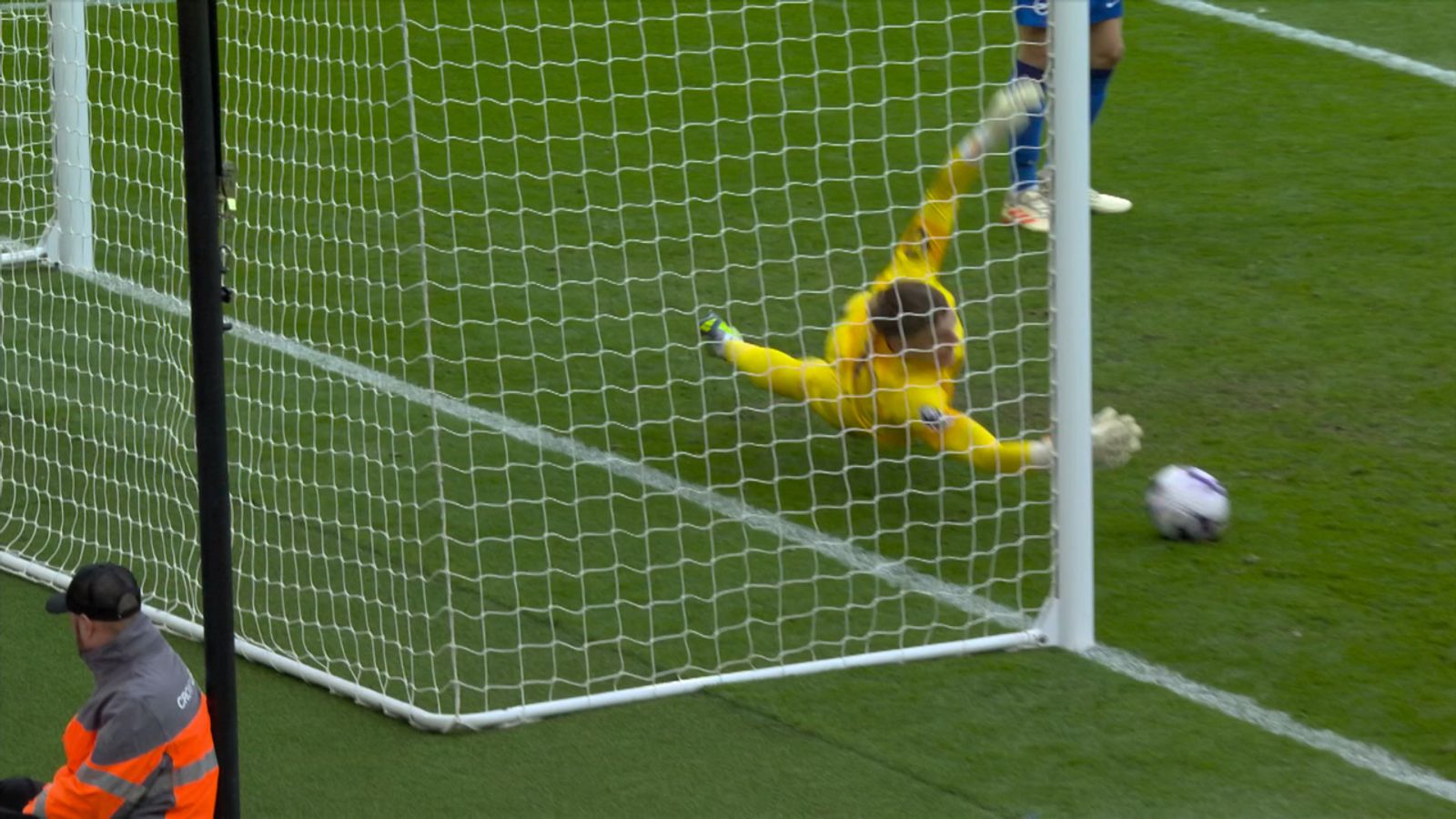 Bart Verbruggen exclusive interview: Brighton goalkeeper relishing life under 'brilliant ...