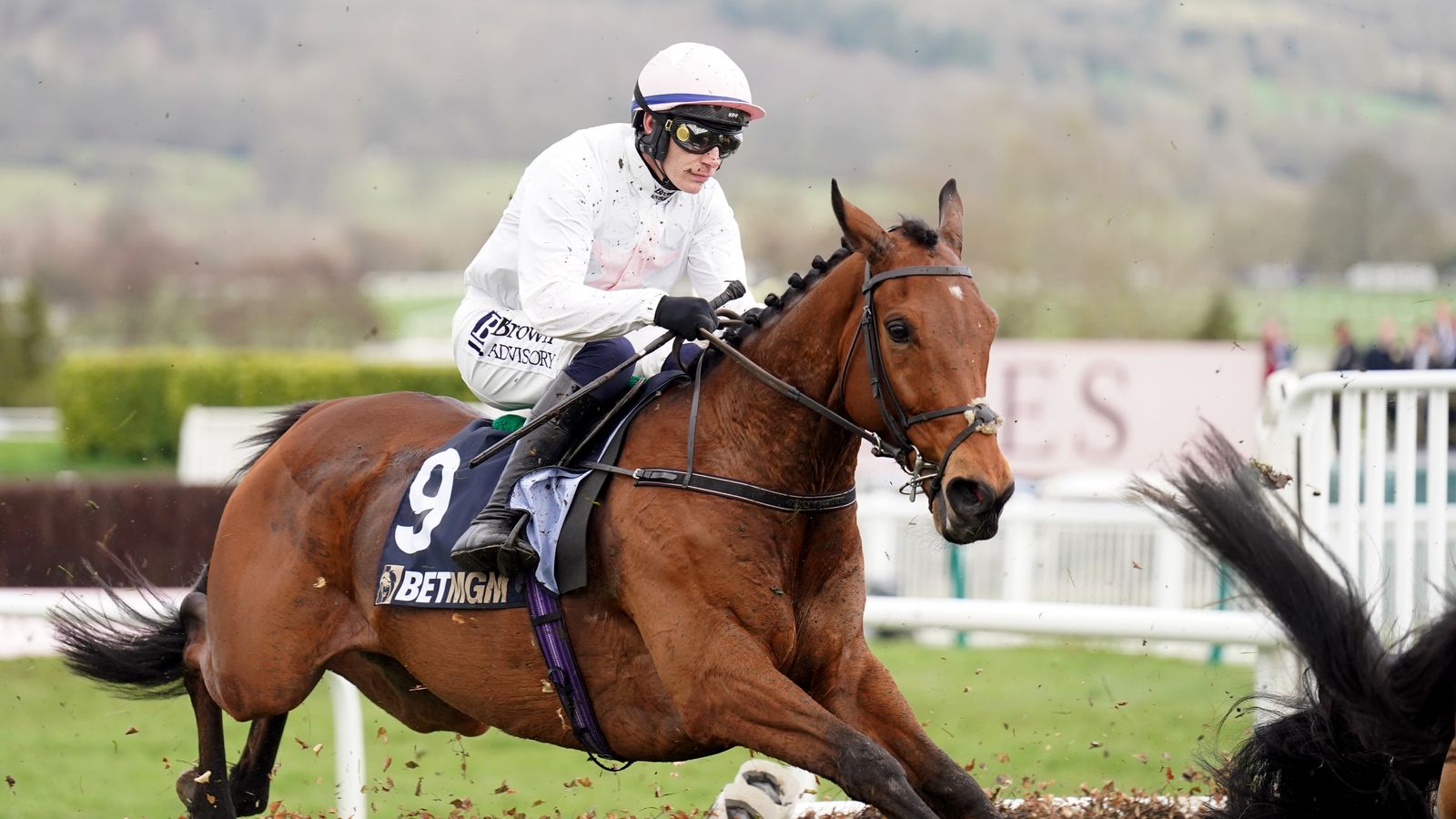 Today on Sky Sports Racing: Absurde and Caius Chorister clash at ...