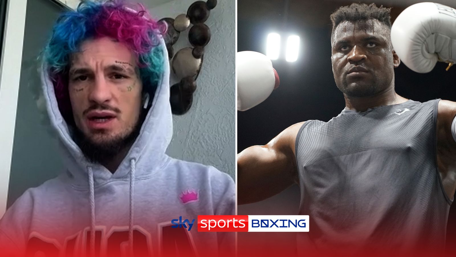 UFC's Bantamweight champion Sean O'Malley backs Francis Ngannou to beat ...