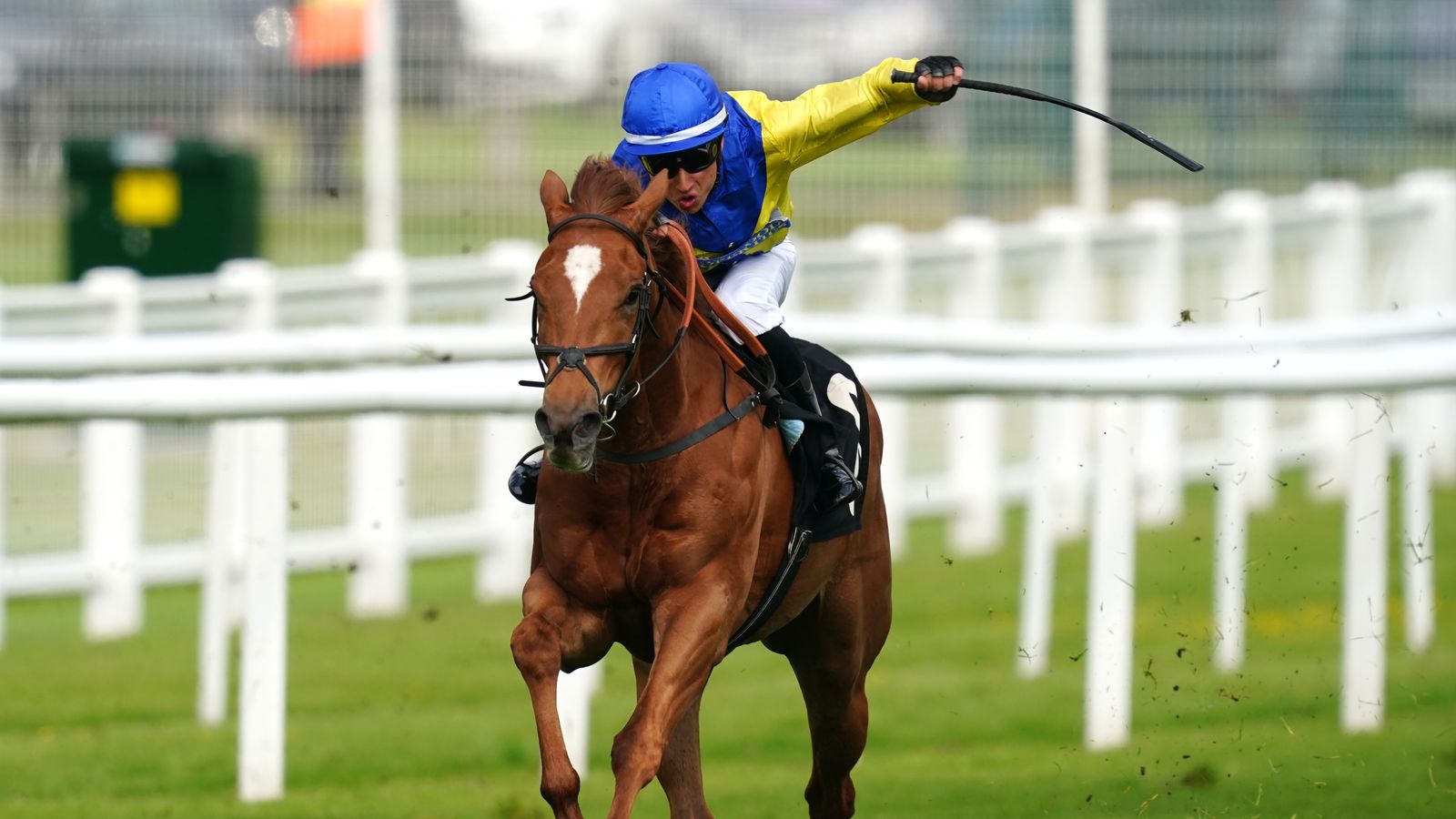 Migration out to defend Lincoln Handicap crown: Full runner guide ...