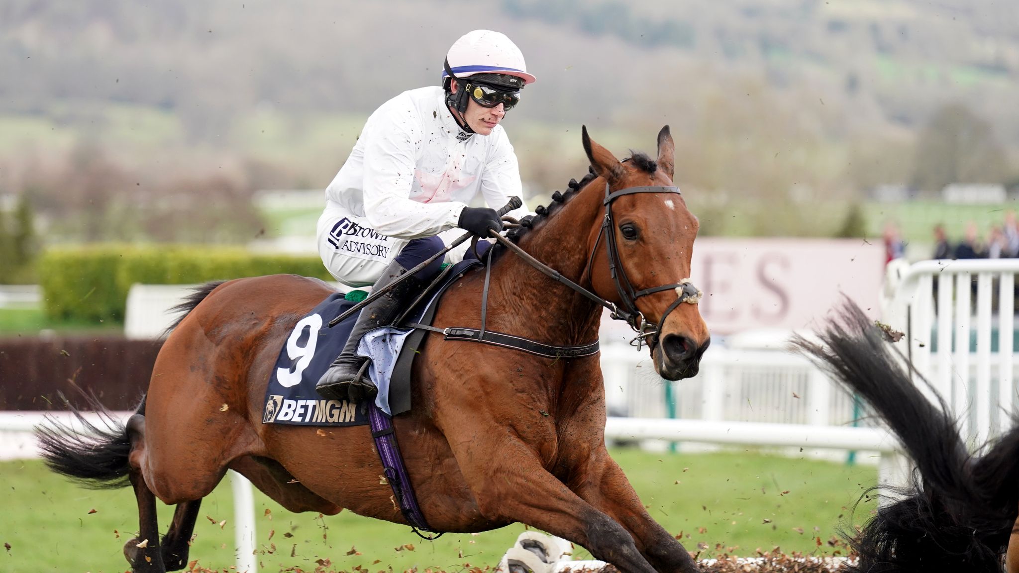 Today on Sky Sports Racing: Absurde and Caius Chorister clash at ...