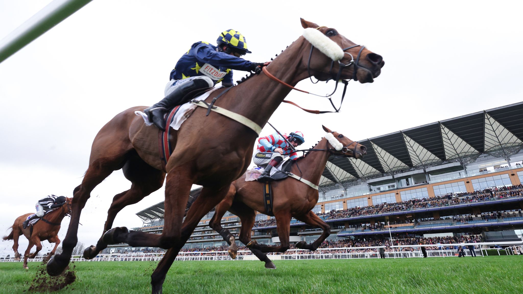 Today on Sky Sports Racing: Martator clashes with Thelasthighking in ...