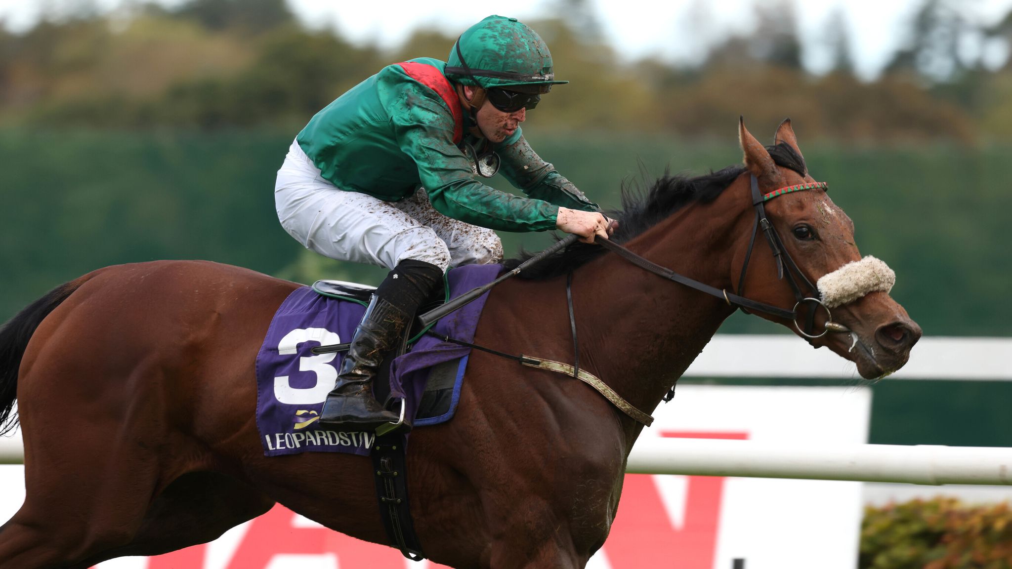 Jamie Lynch's 10 Flat horses to follow in 2024: French stars and Irish ...