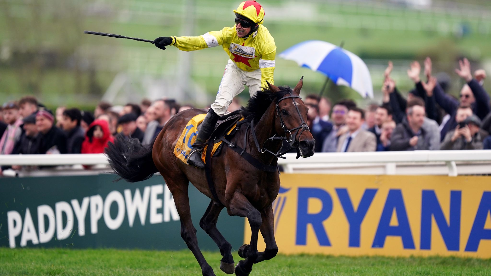 Cheltenham Festival: Protektorat triumphs in the Ryanair Chase to give ...