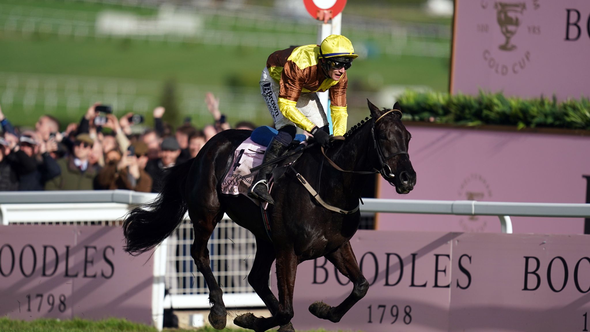 Cheltenham Festival: Back-to-back Gold Cup wins for Galopin Des Champs ...
