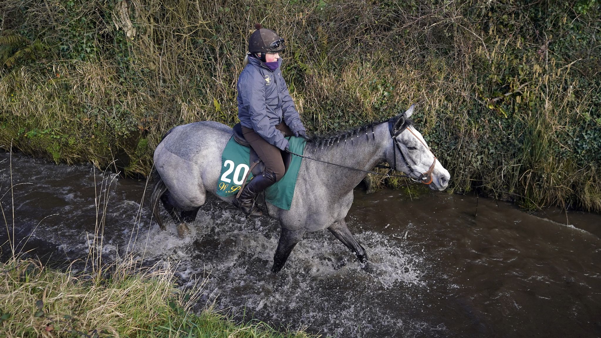 Cheltenham Festival: State Man declared for Champion Hurdle alongside ...