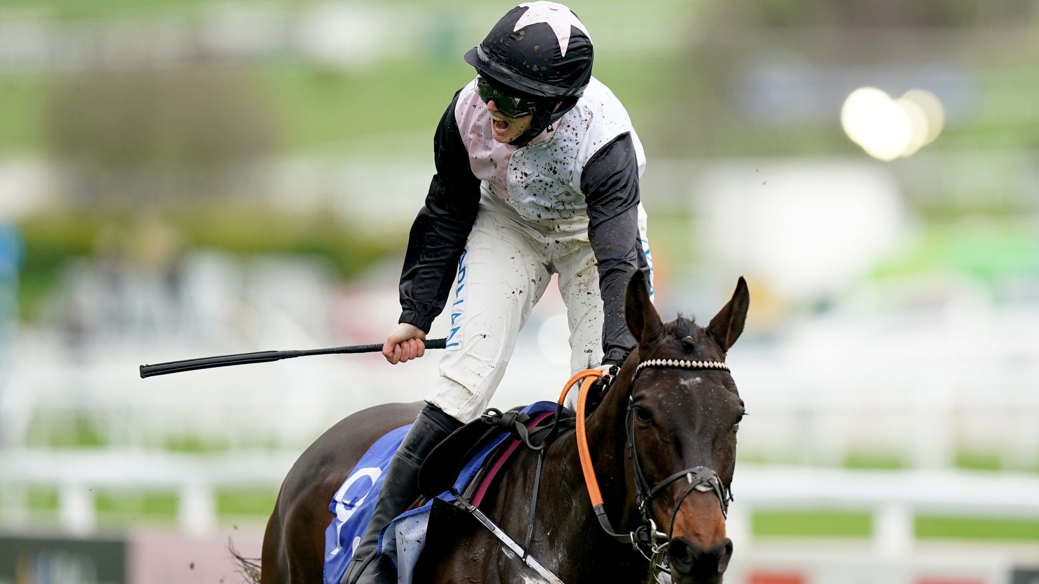 Cheltenham Festival: Slade Steel holds off Mystical Power to win the ...