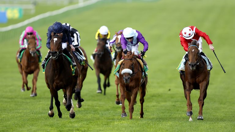 Lingfield frost covers in place as weather threatens Winter Million ...