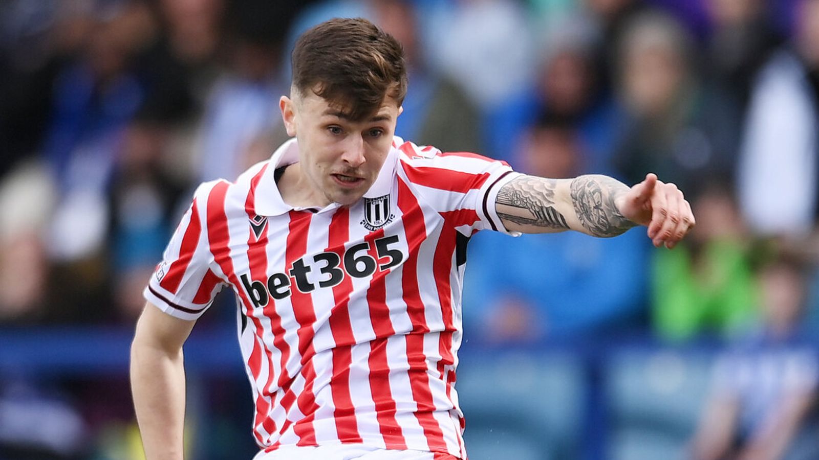 Sheffield Wednesday 1-1 Stoke City: Luke Cundle earns point for Potters ...