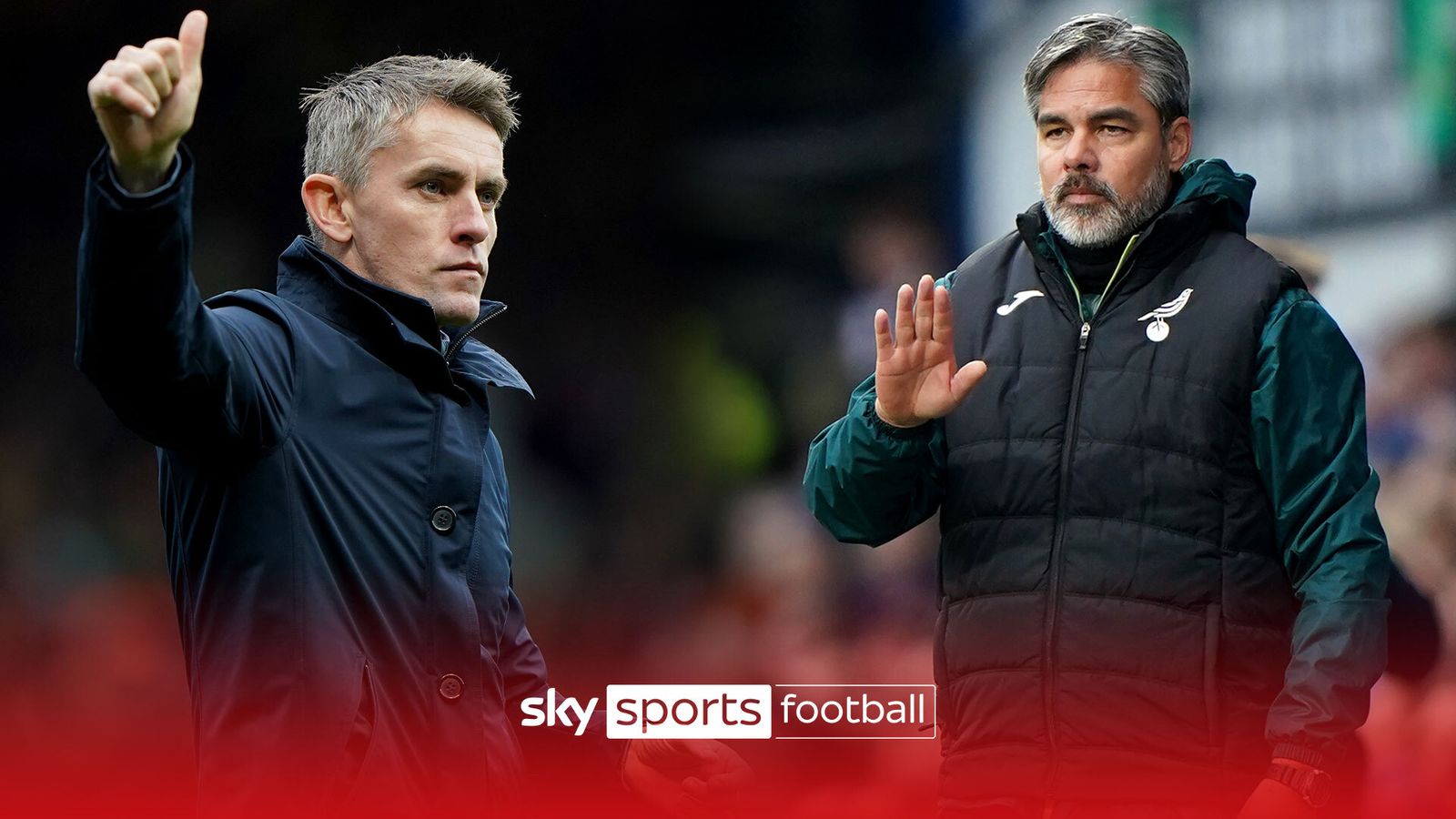 Norwich manager David Wagner calls for balance of 'fire and calm' in ...