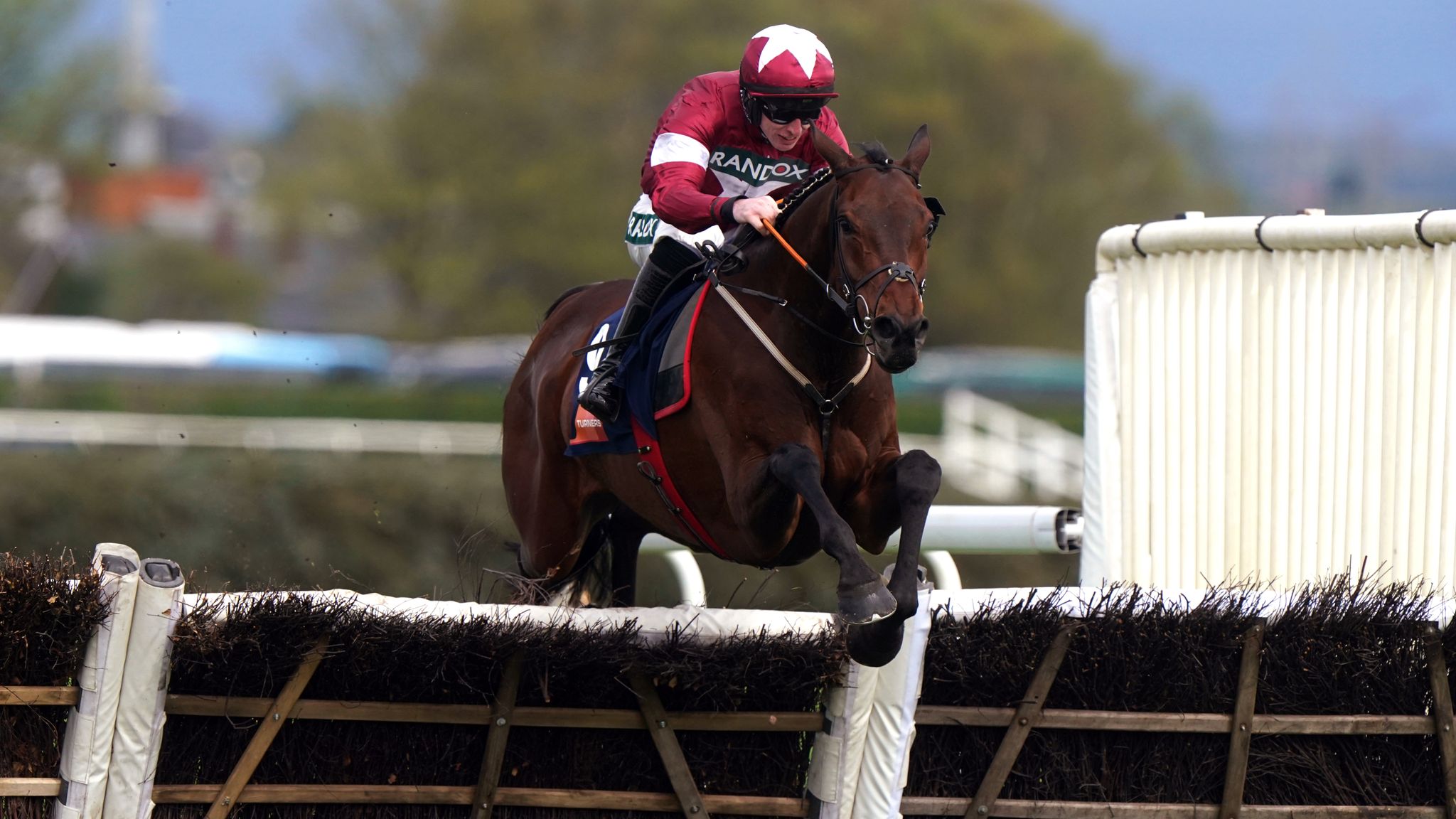 Gordon Elliott stable tour: Brighterdaysahead to stay over hurdles as ...