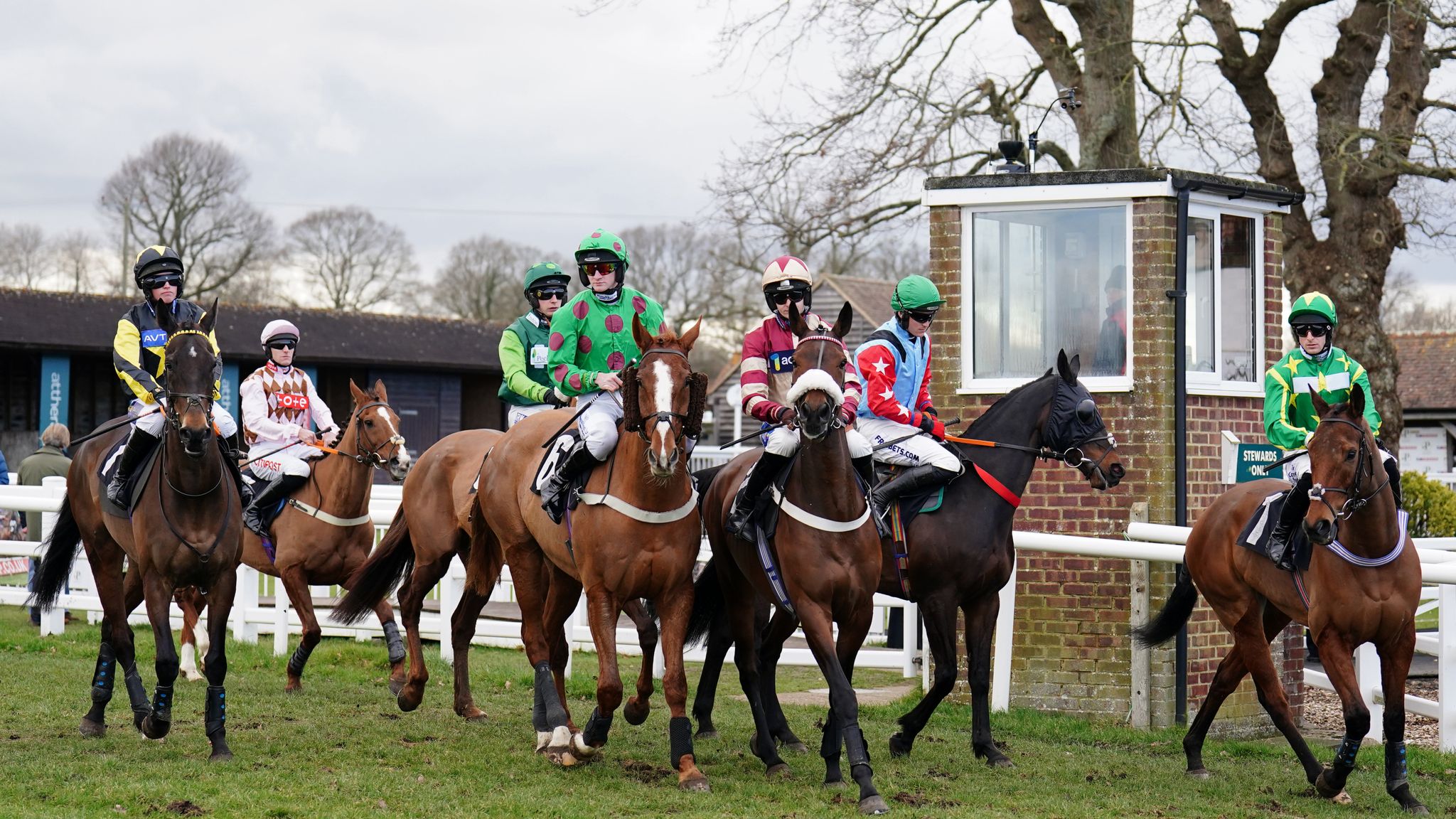 Monday racing tips: Elliot David's five to follow from Plumpton ...