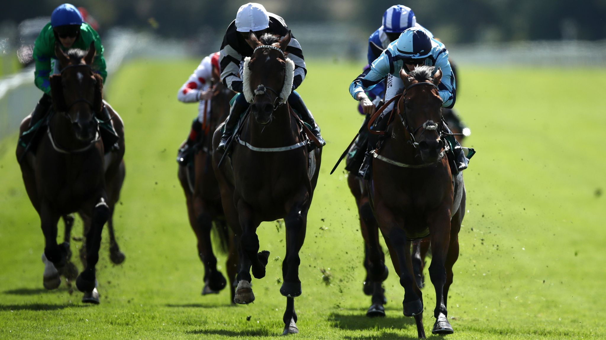 Today on Sky Sports Racing: Stressfree and Maxi King clash at Ripon ...