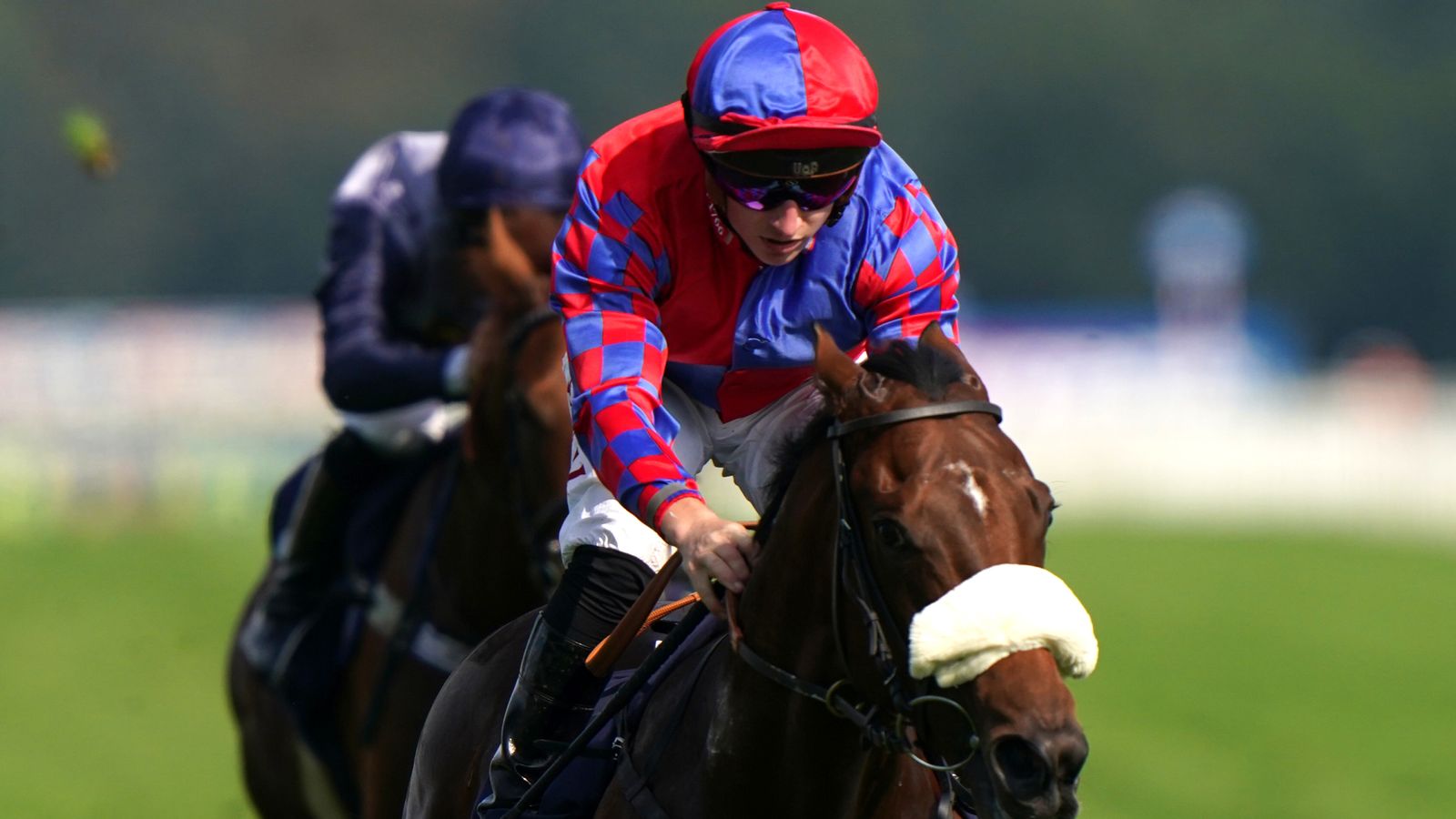 Racing round-up: All eyes on York for round three of Big Evs and ...