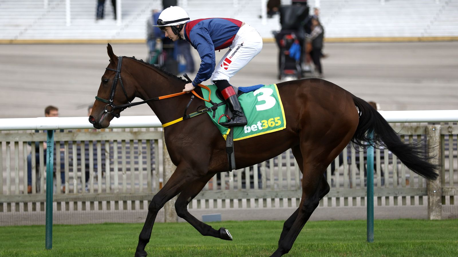 Oaks at Epsom: Kate Tracey's horse-by-horse guide with Forest Fairy ...
