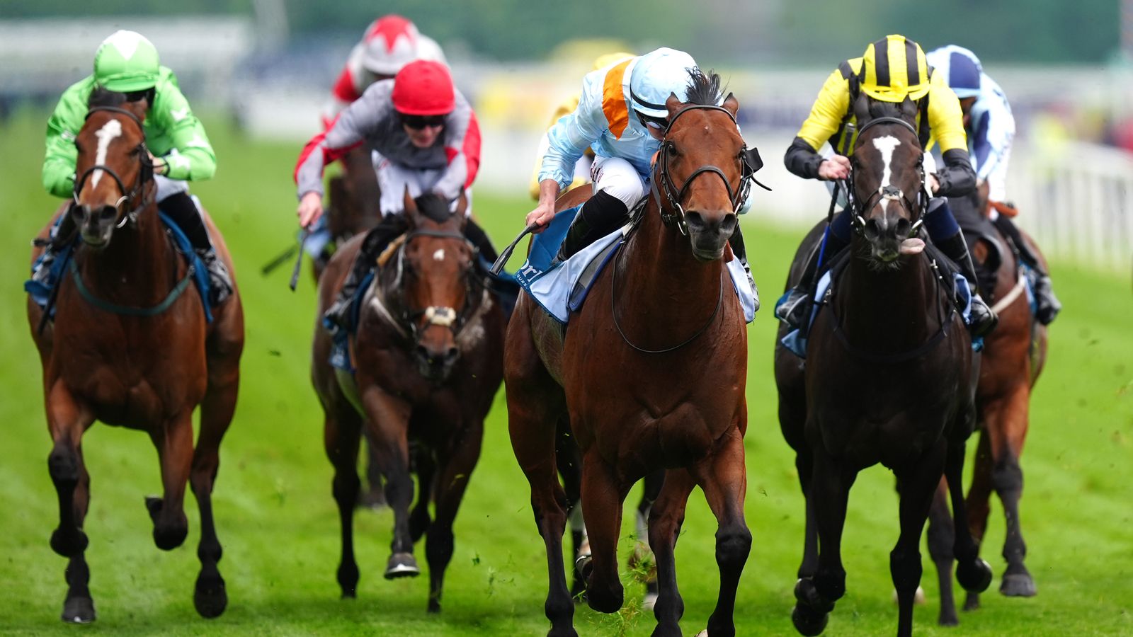 York's Dante Stakes: Economics adds up for William Haggas with stunning ...