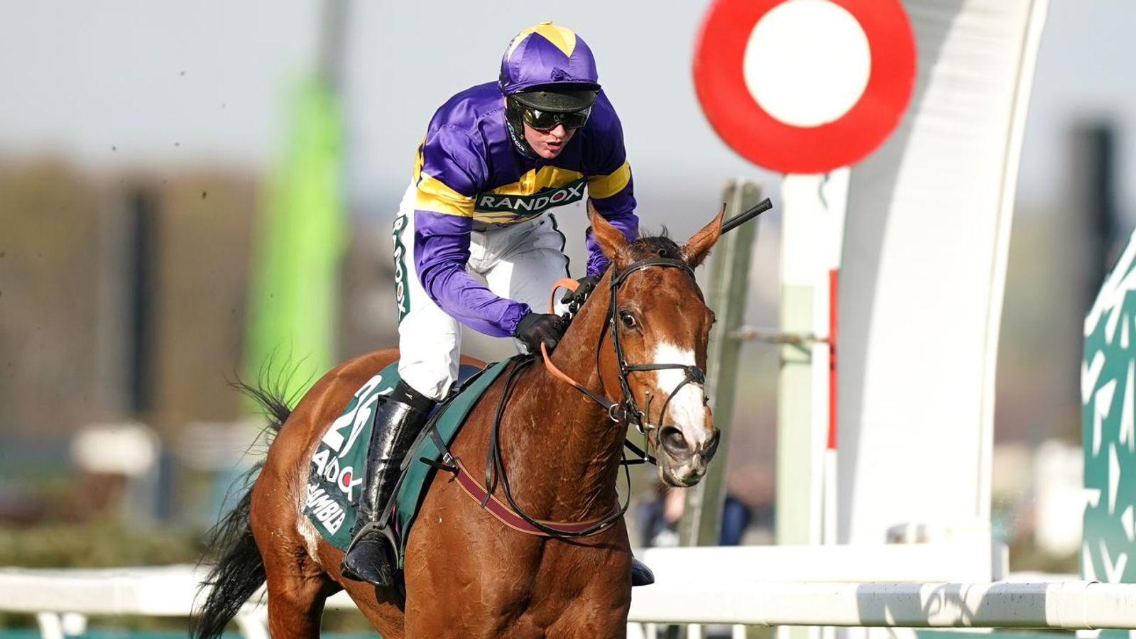 Corach Rambler: Last year's Grand National winner retired by Lucinda ...