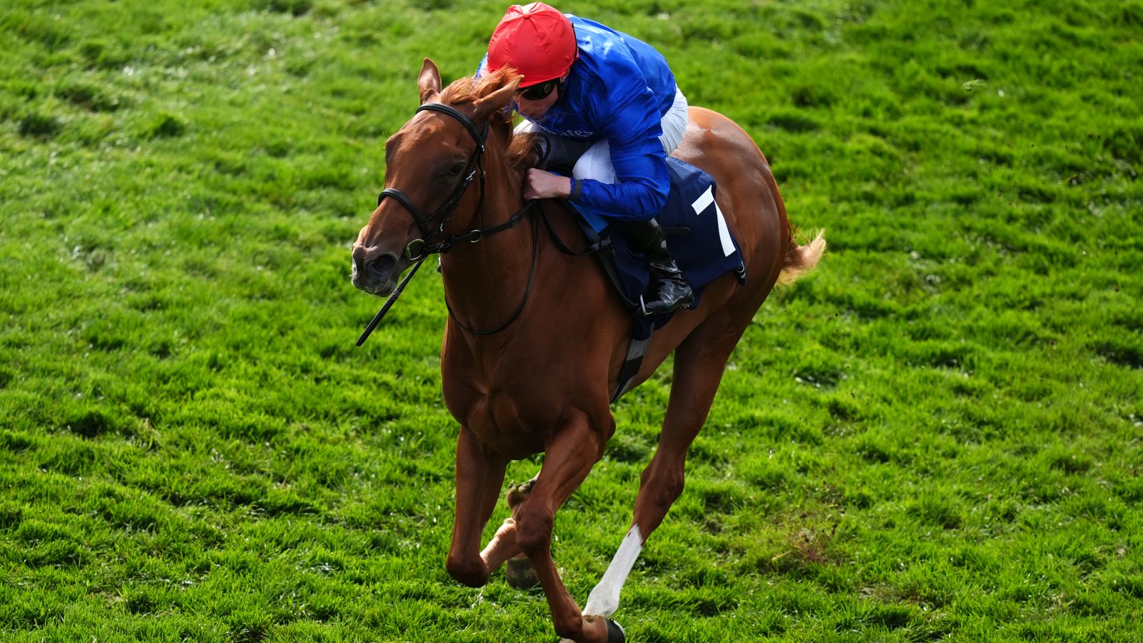 Racing round-up: Mountain Breeze earns spot on Appleby's Ascot squad ...