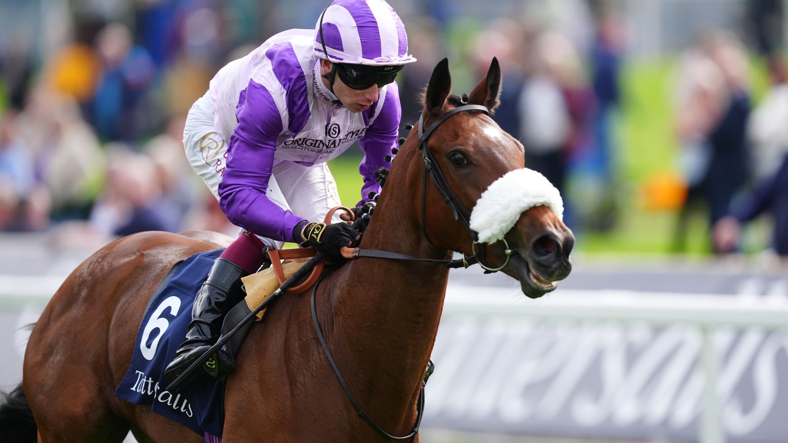 Oaks at Epsom: Kate Tracey's horse-by-horse guide with Forest Fairy ...