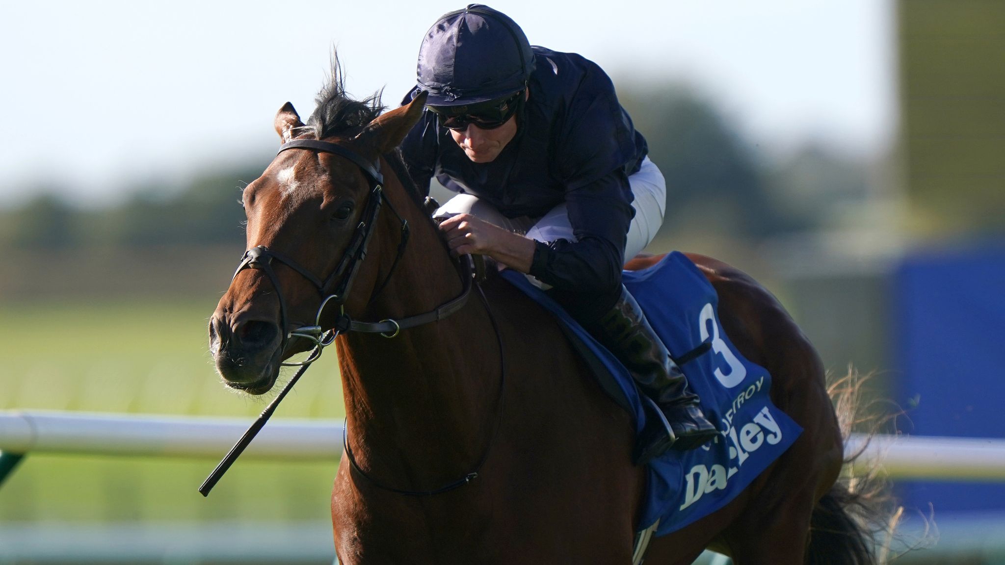 Prix de l'Arc de Triomphe 2024: Guide to possible leading contenders ...