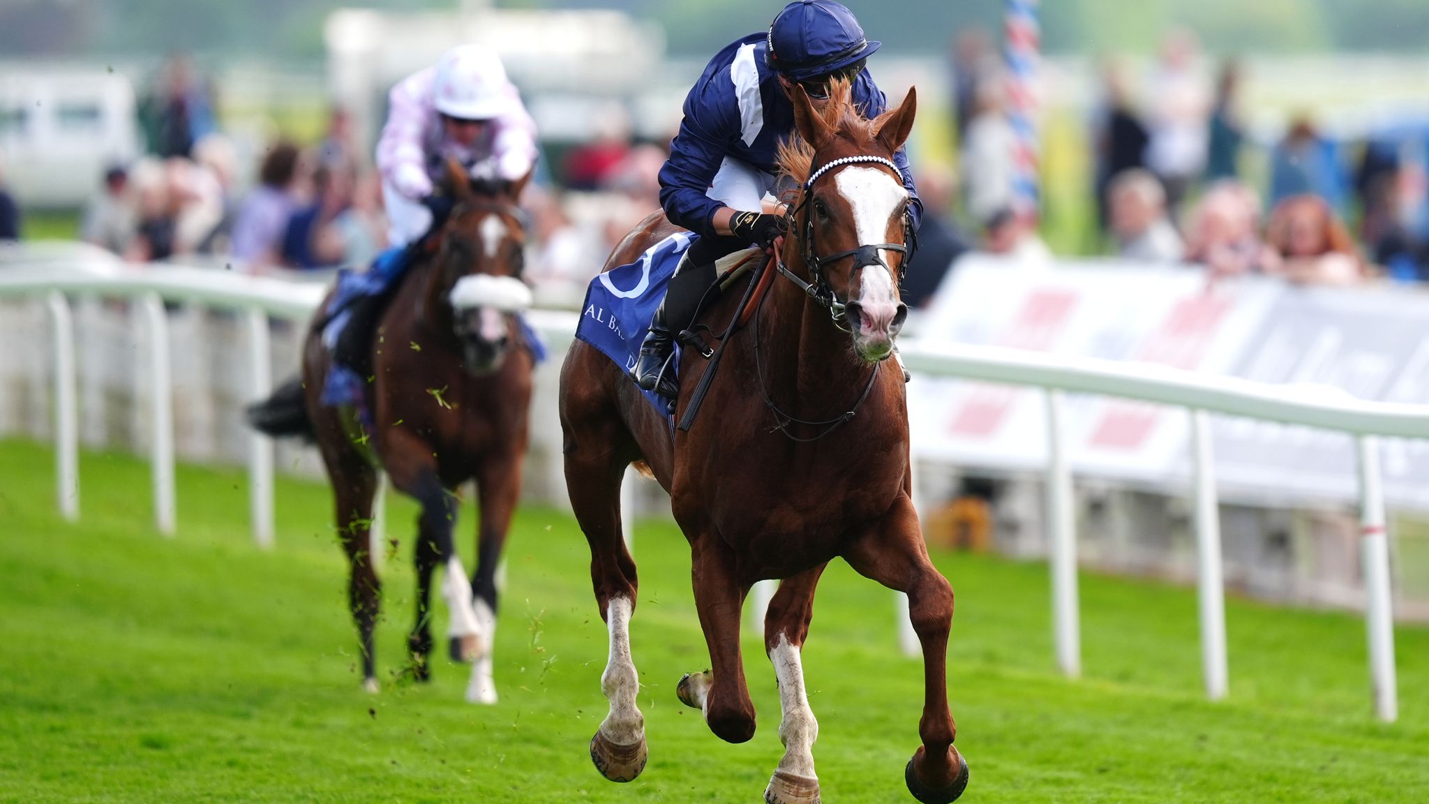 York's Dante Stakes: Economics adds up for William Haggas with stunning ...