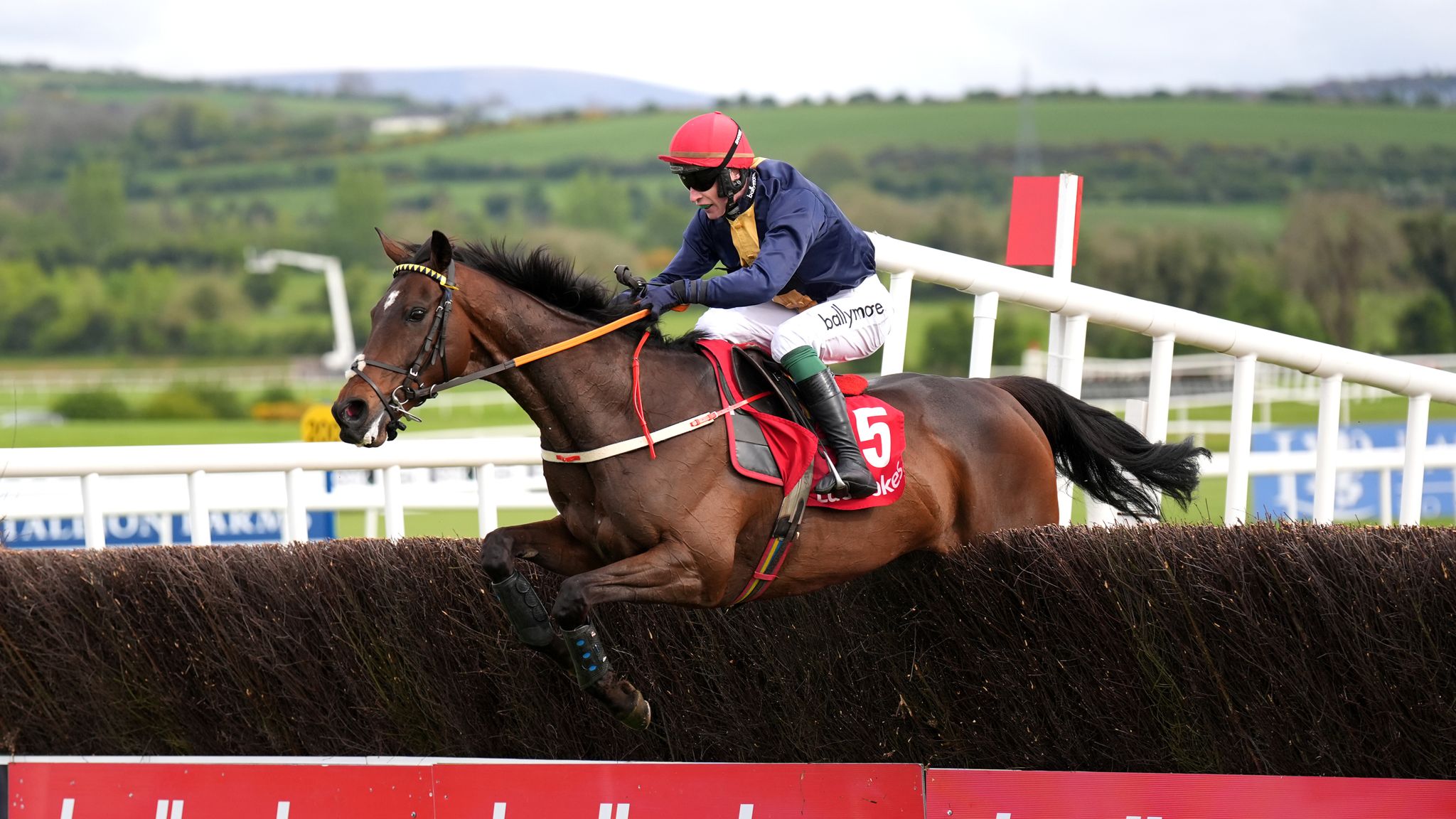 Punchestown: Fastorslow beats Galopin Des Champs to keep hold of Gold ...