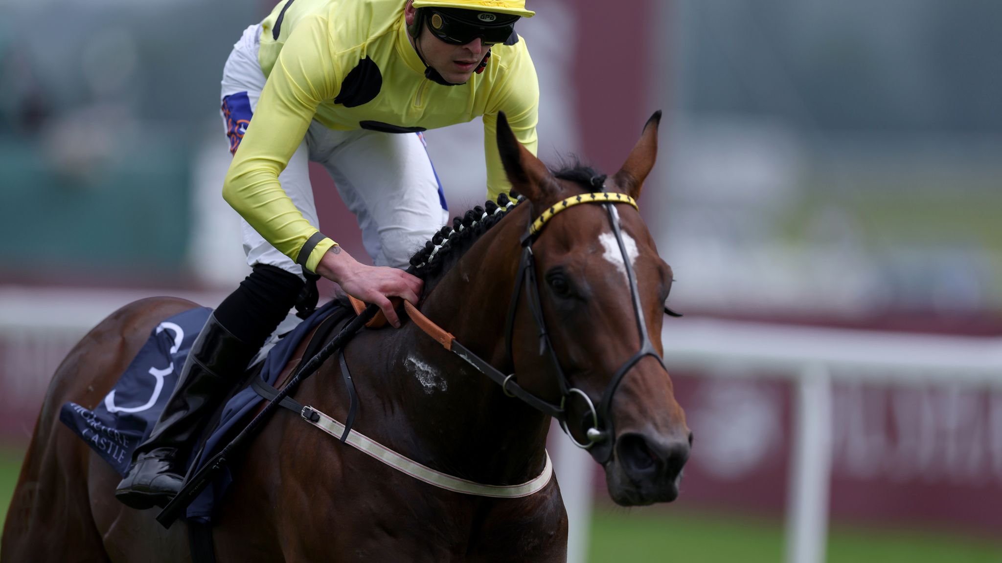 Lockinge Stakes: Audience shocks with Newbury Group One victory at 22/1 ...