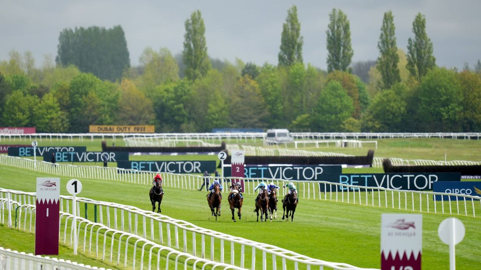 Weekend Winners: 40/1 Lockinge each-way chance for Hi Royal | Racing ...