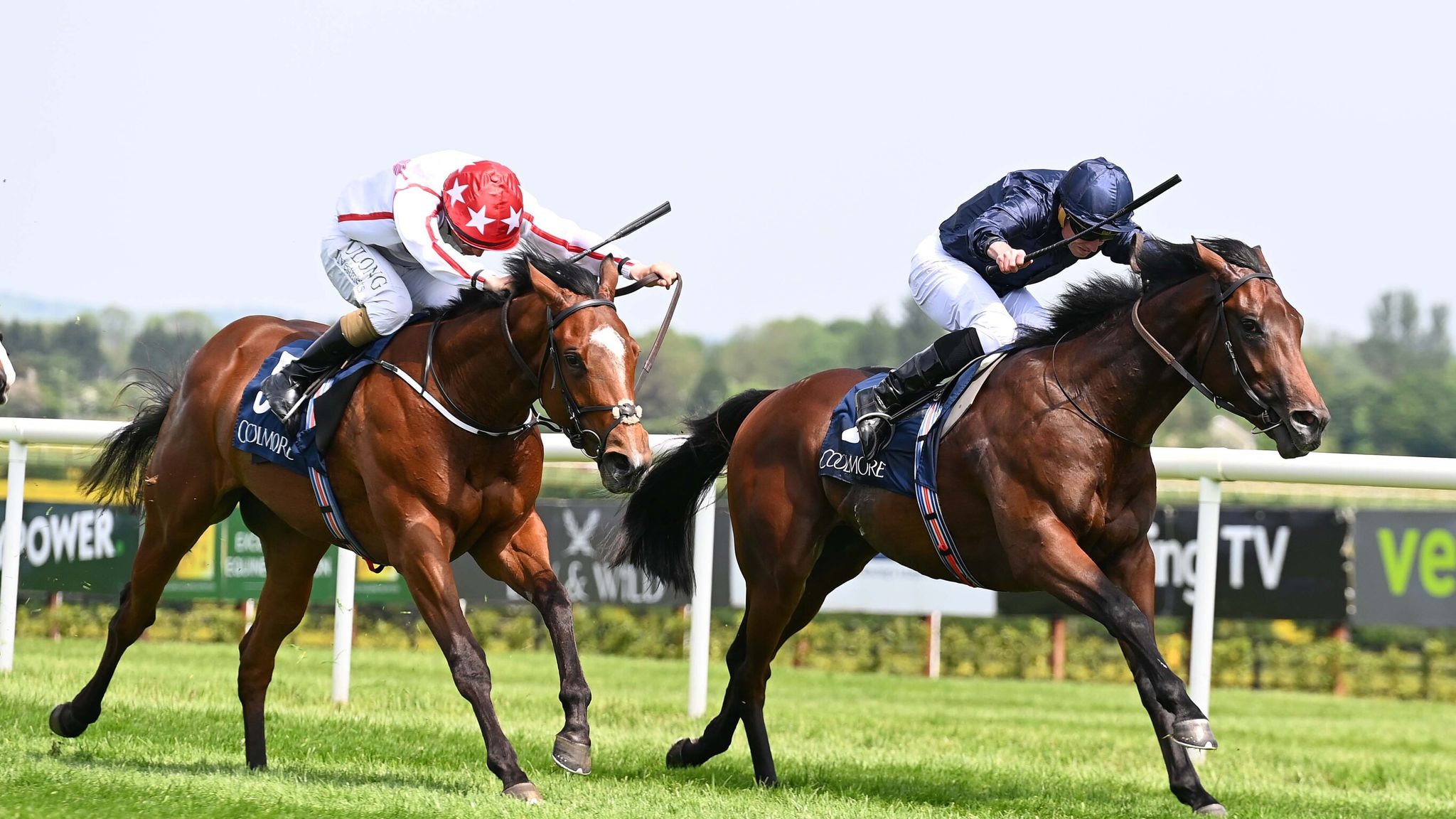 Royal Ascot: Aidan O'Brien 2024 stable tour features old favourites ...