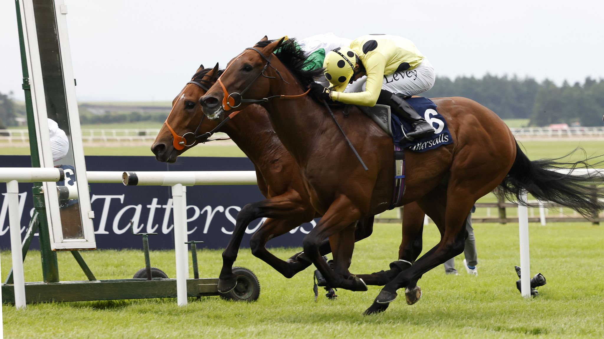Rosallion fends off Haatem for Irish Guineas glory at the Curragh for ...