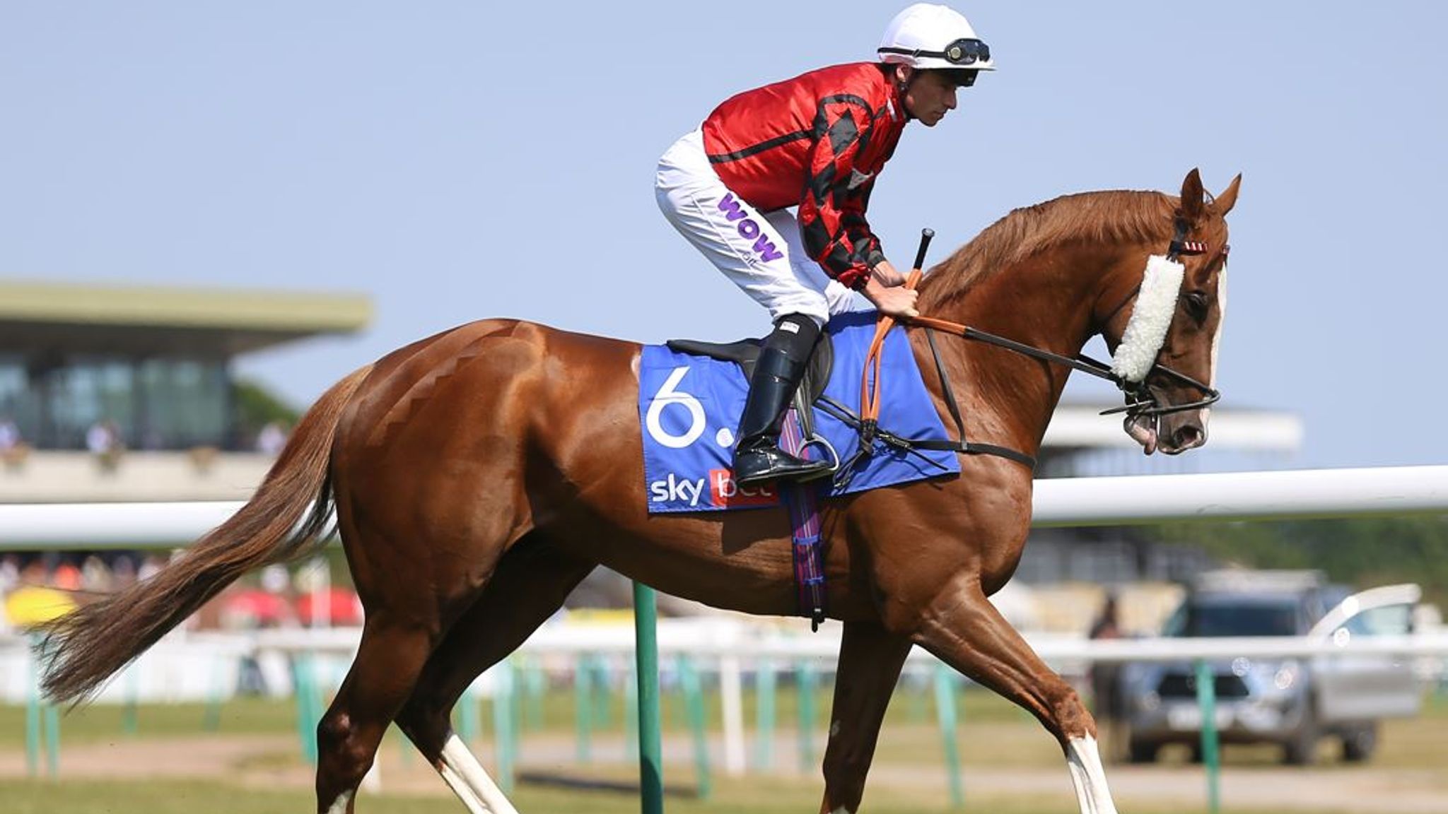 The Wizard Of Eye weaves his magic for Fellowes and Marquand | Racing ...