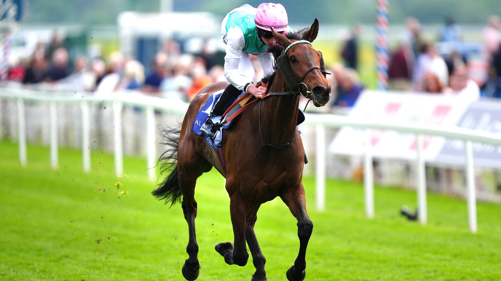 Ralph Beckett: I'd be keen to supplement Bluestocking for the Arc ...