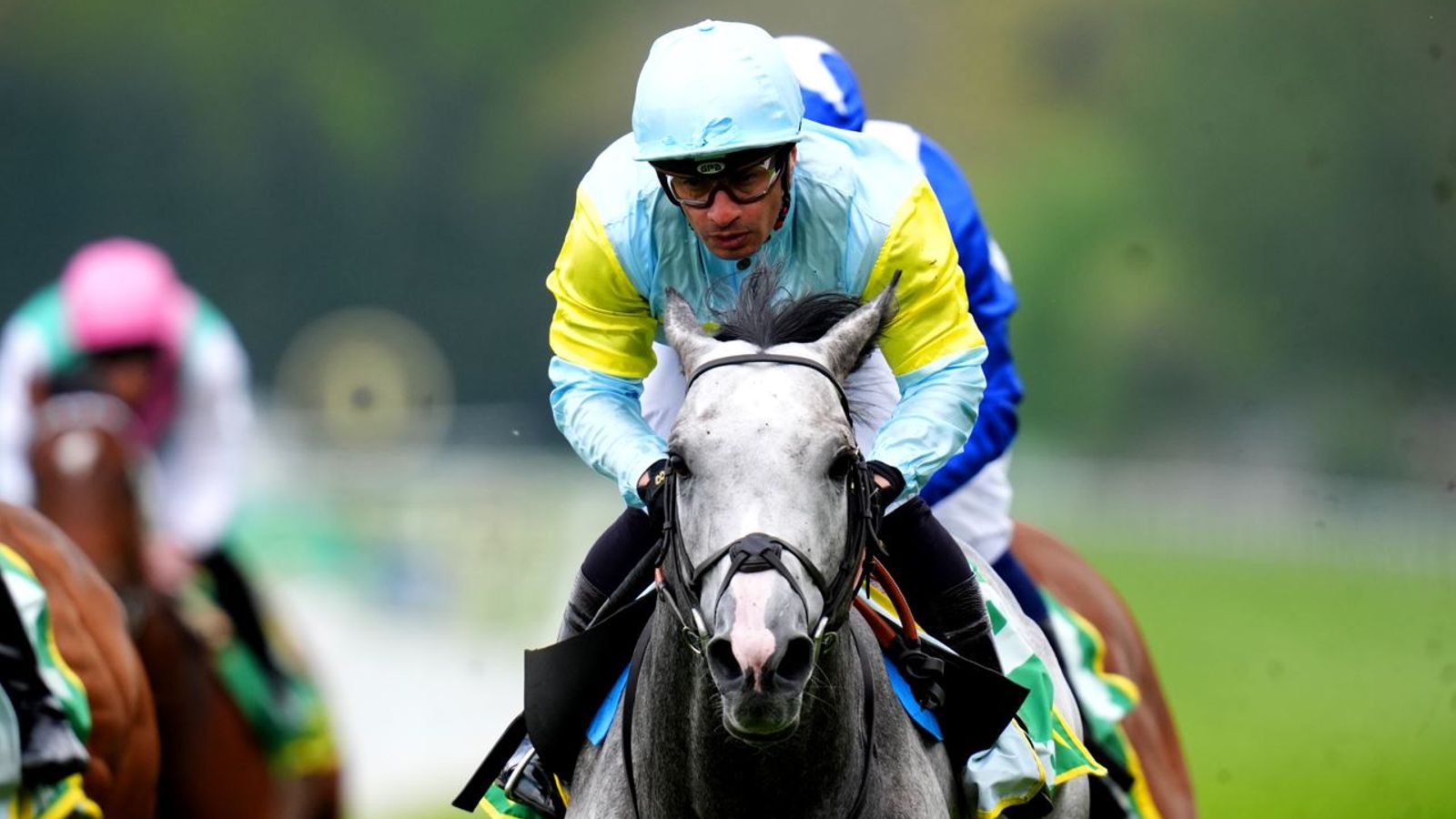 Charyn: Roger Varian's star miler to retire at end of season | Racing ...