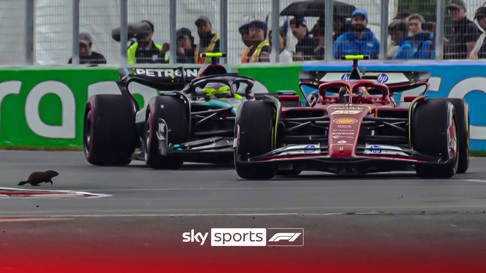 Canada GP: Charles Leclerc and Lewis Hamilton narrowly avoid Montreal ...